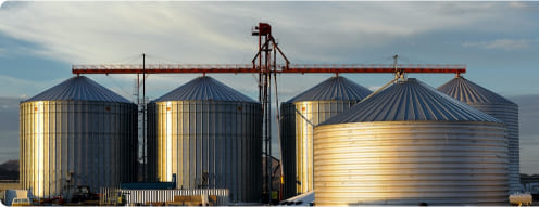 Grão Direto | Connecting grain buyers and sellers!